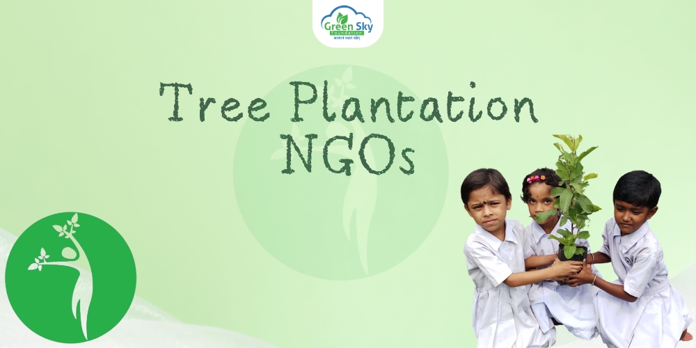 Tree Plantation NGOs - Green Sky Foundation